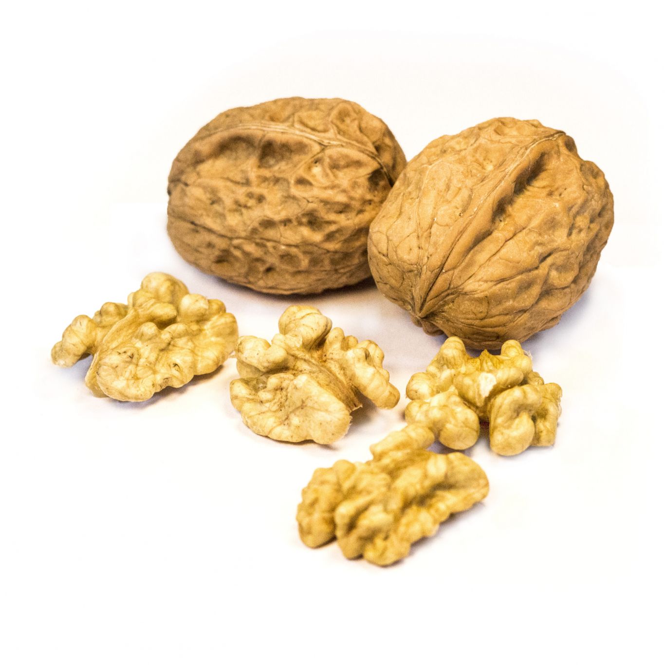 Production noix – La Noix de demain